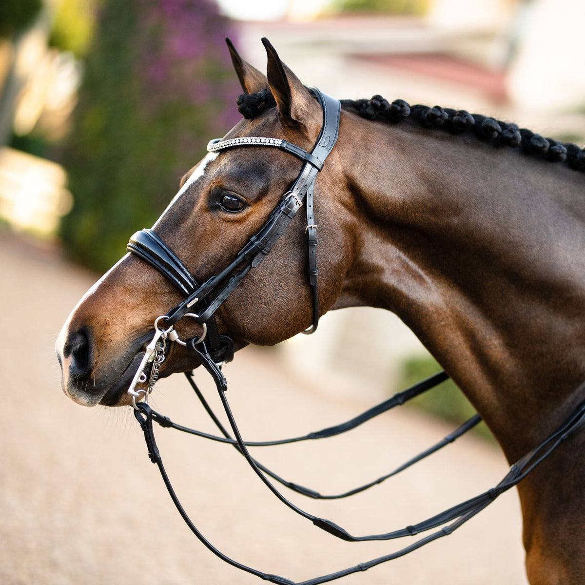 Lumiere Amie Double Bridle – Classic Equestrian